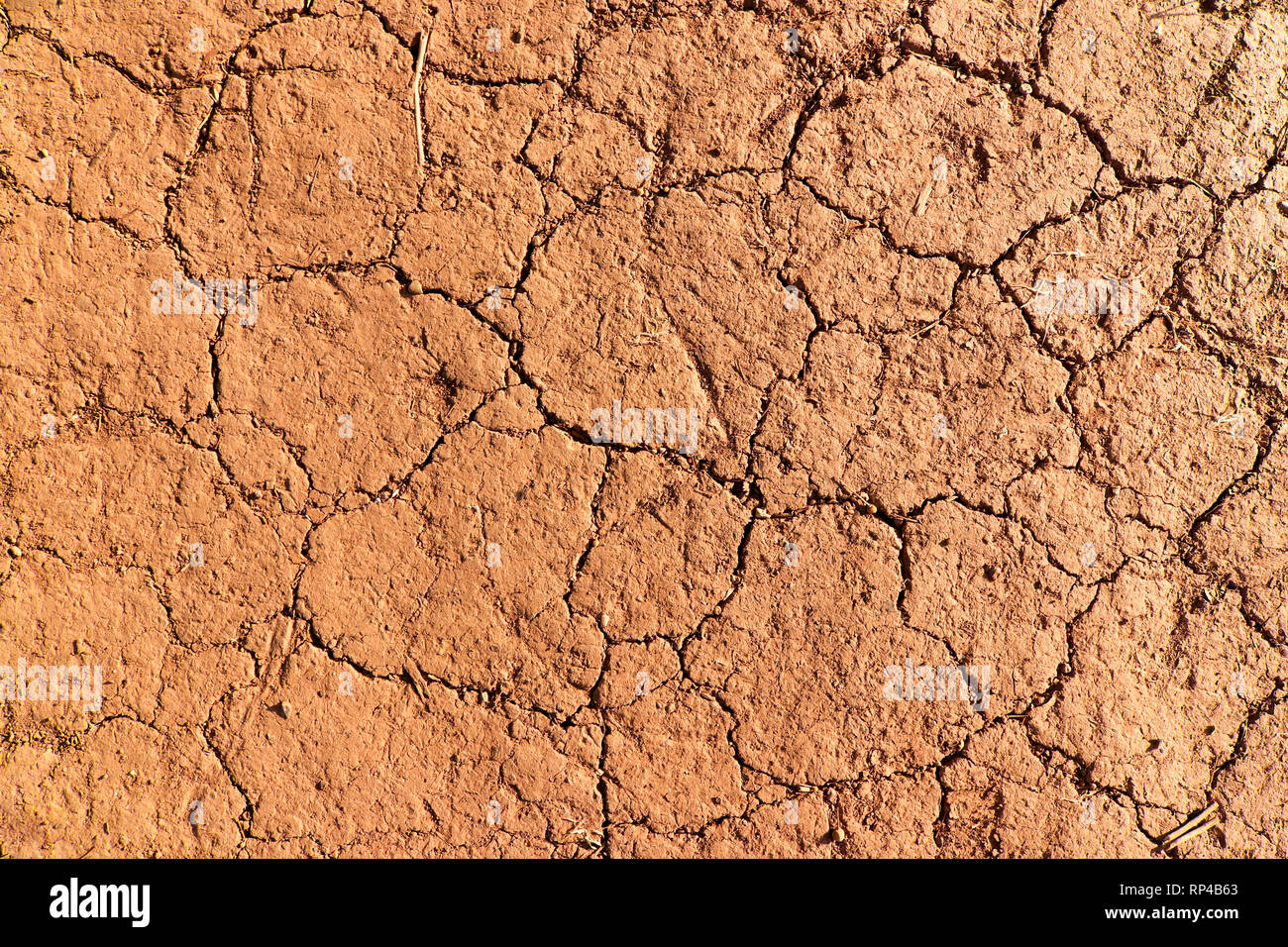 Detail of the cracked dried ground - dry season Stock Photo - Alamy