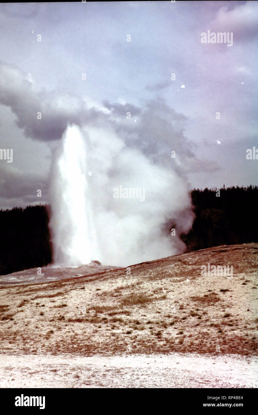 Old Faithful Geyser and surrounding mud pools, Yellowstone Park ...