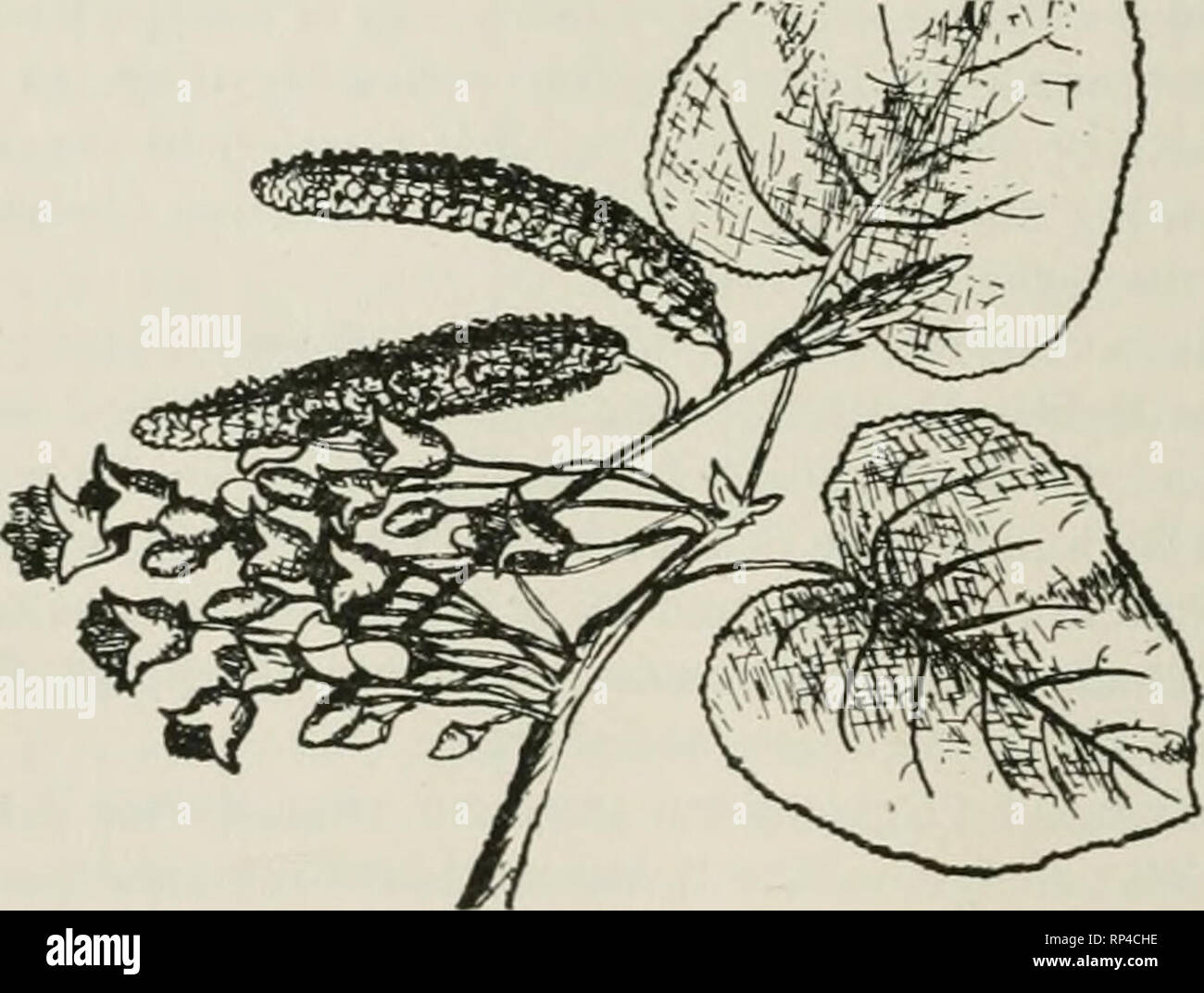 Nebraska small towns hi-res stock photography and images - Alamy