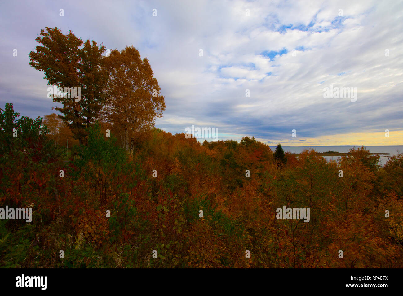 Upper Peninsula Forests in Autumn, Michigan Stock Photo - Alamy