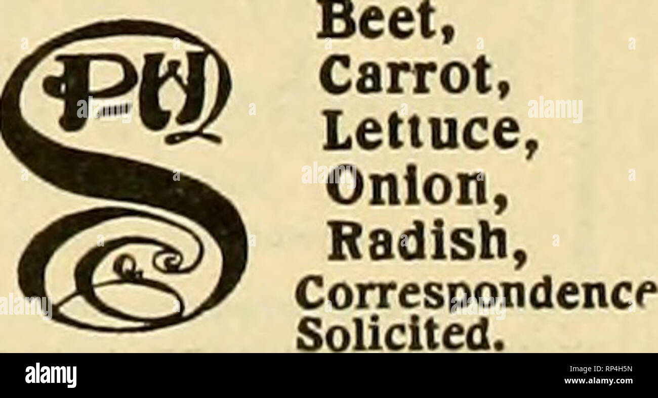 Washington d c 1919 president hi-res stock photography and images - Alamy