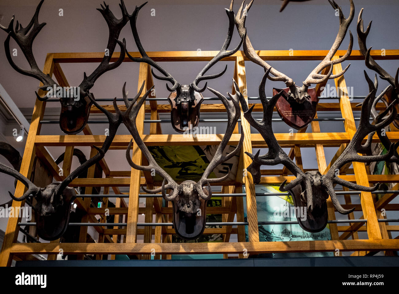 Harris Museum, Preston Stock Photo - Alamy