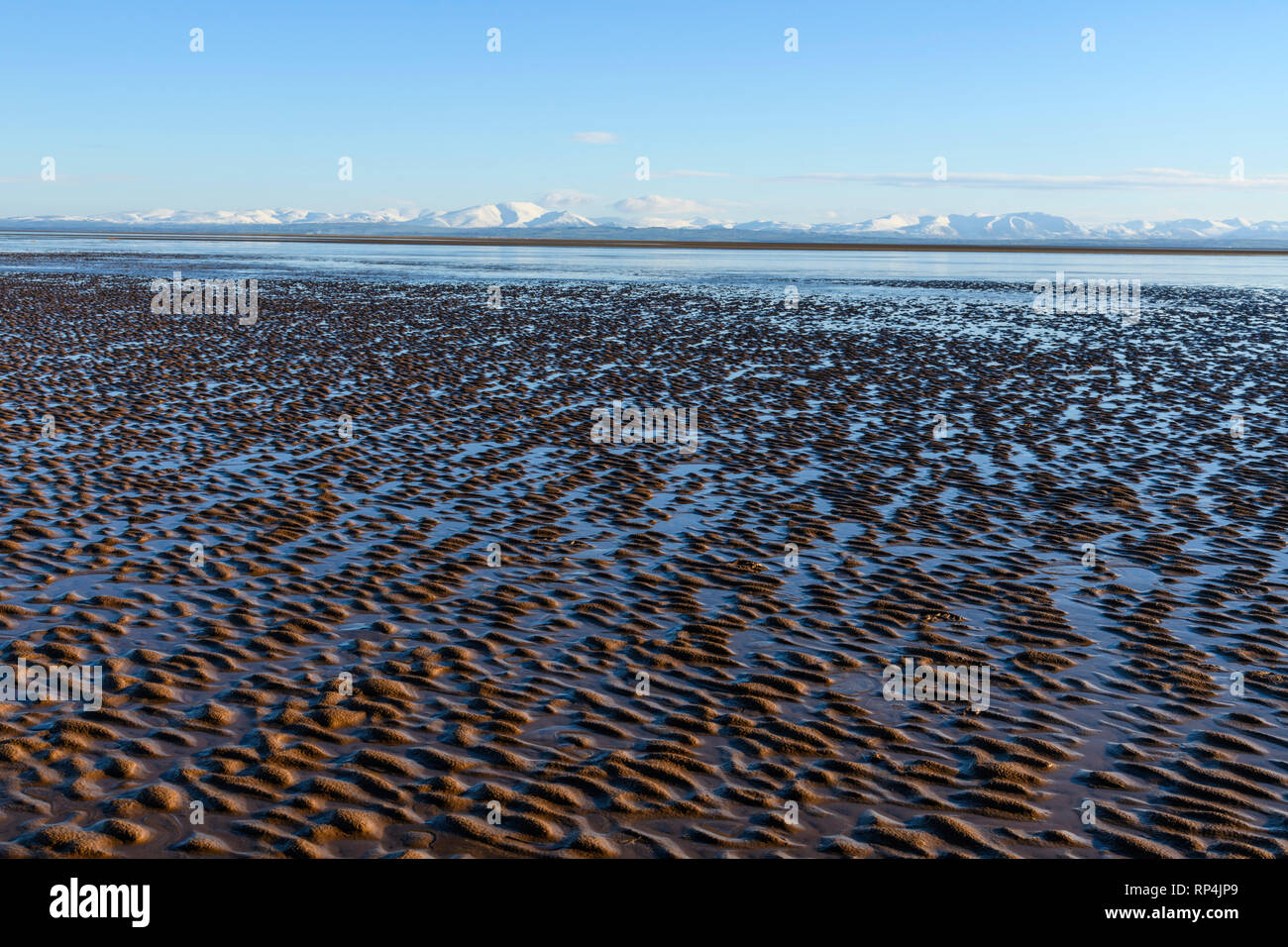 Mersehead nature reserve hi-res stock photography and images - Alamy