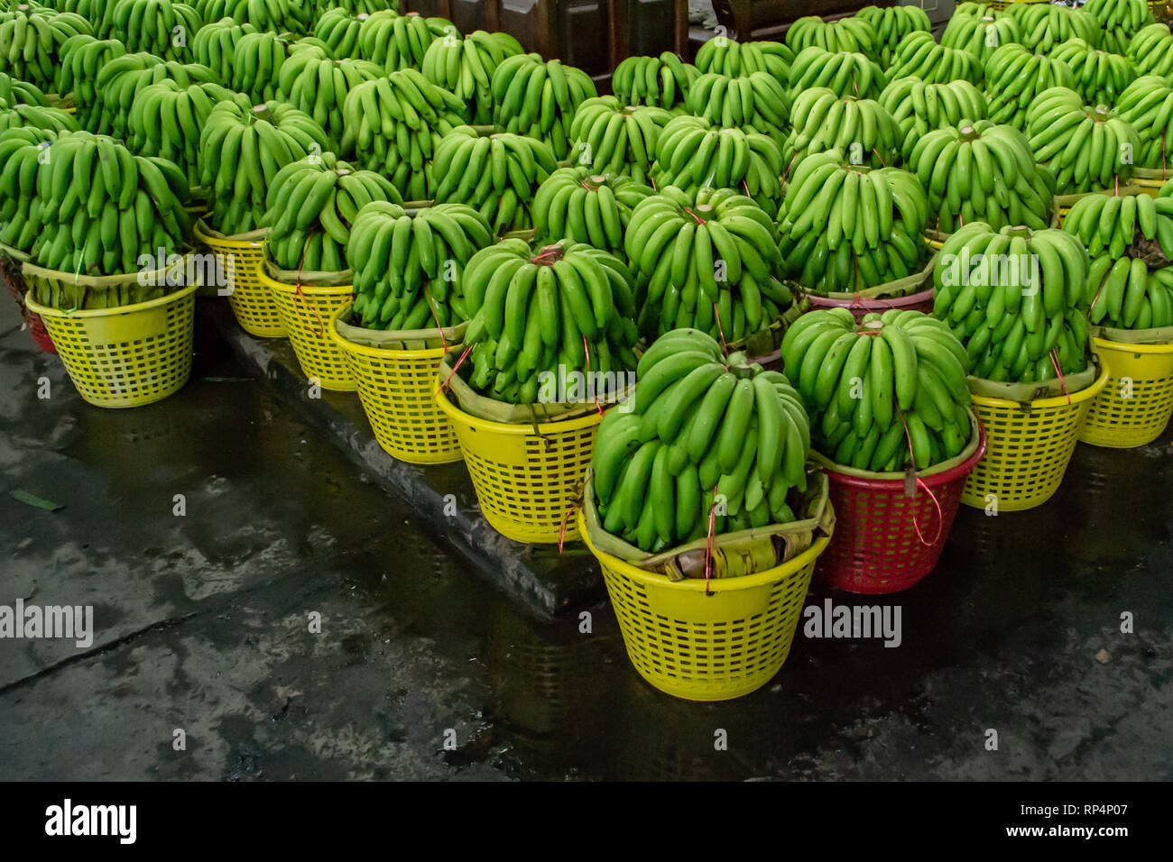 Green bananas in wholesale fresh market Stock Photo - Alamy