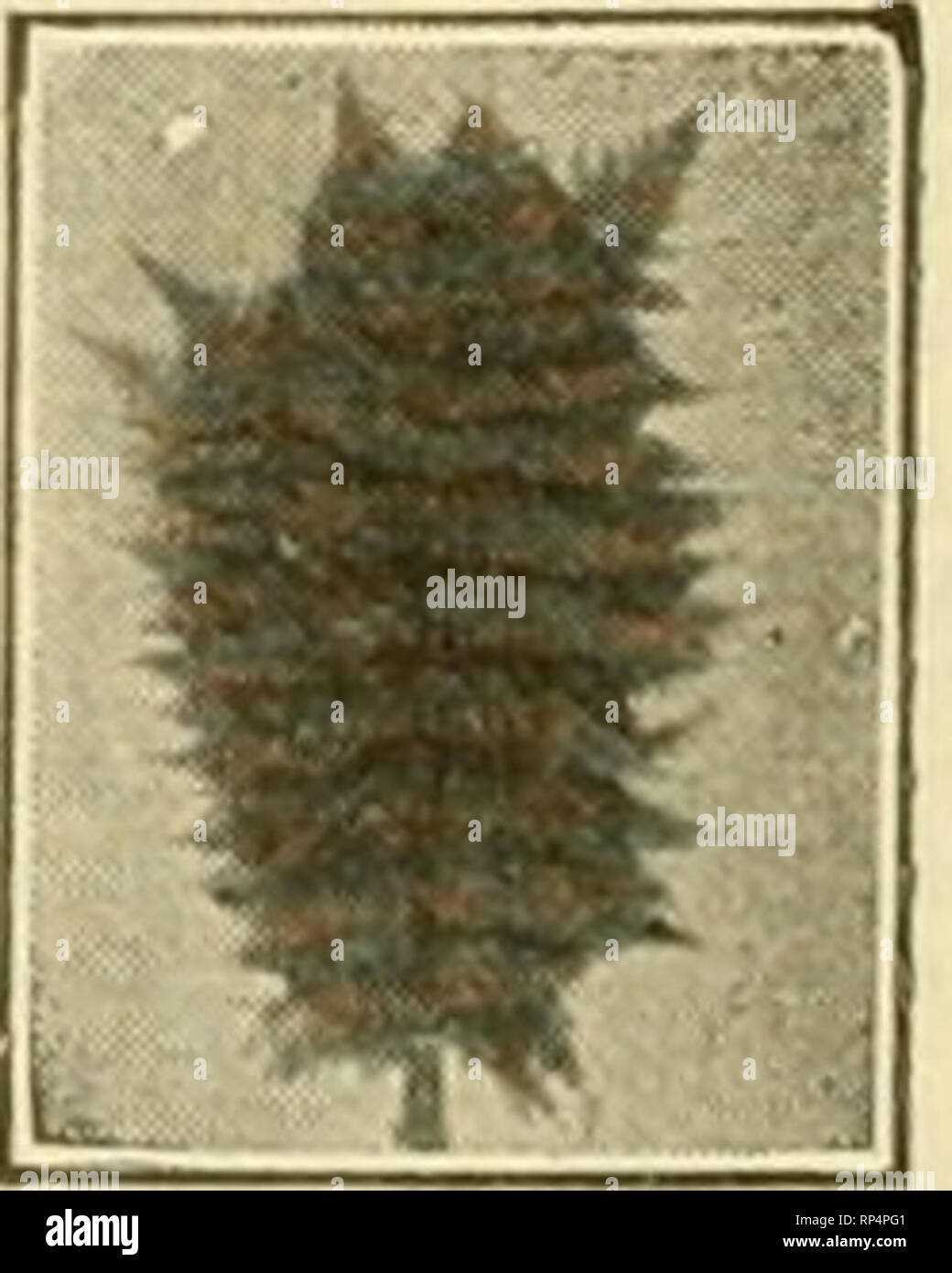 1000 Lb Bales High Resolution Stock Photography and Images - Alamy