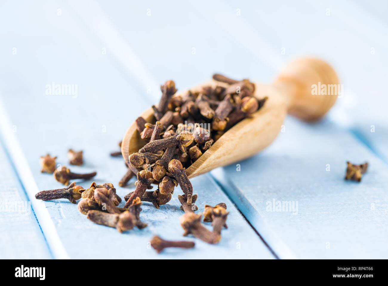 Carnation, dried clove spice in scoop Stock Photo - Alamy