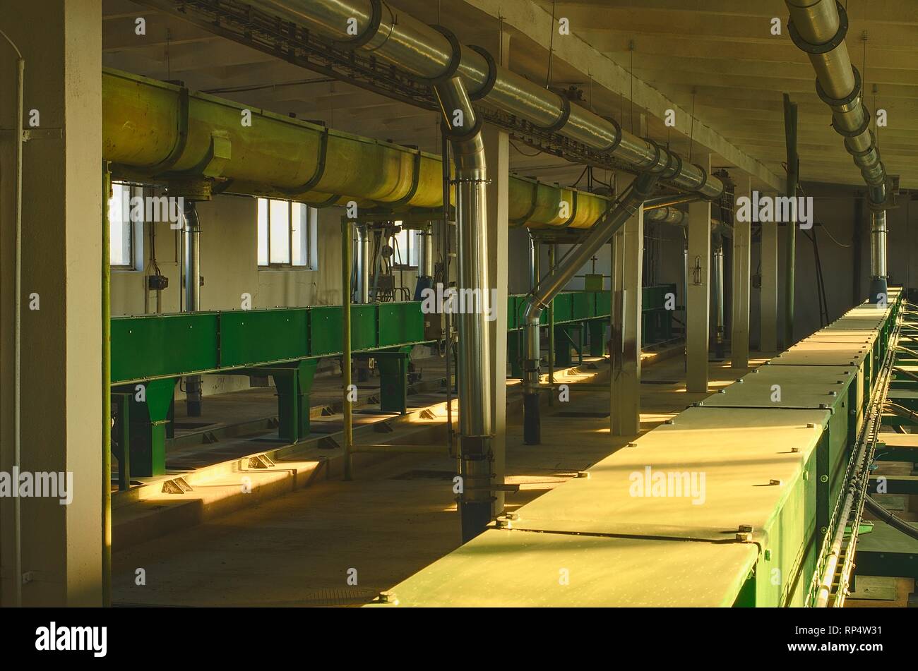 Factory interior. Conveyor crops. Chain conveyor grain. Industrial ...