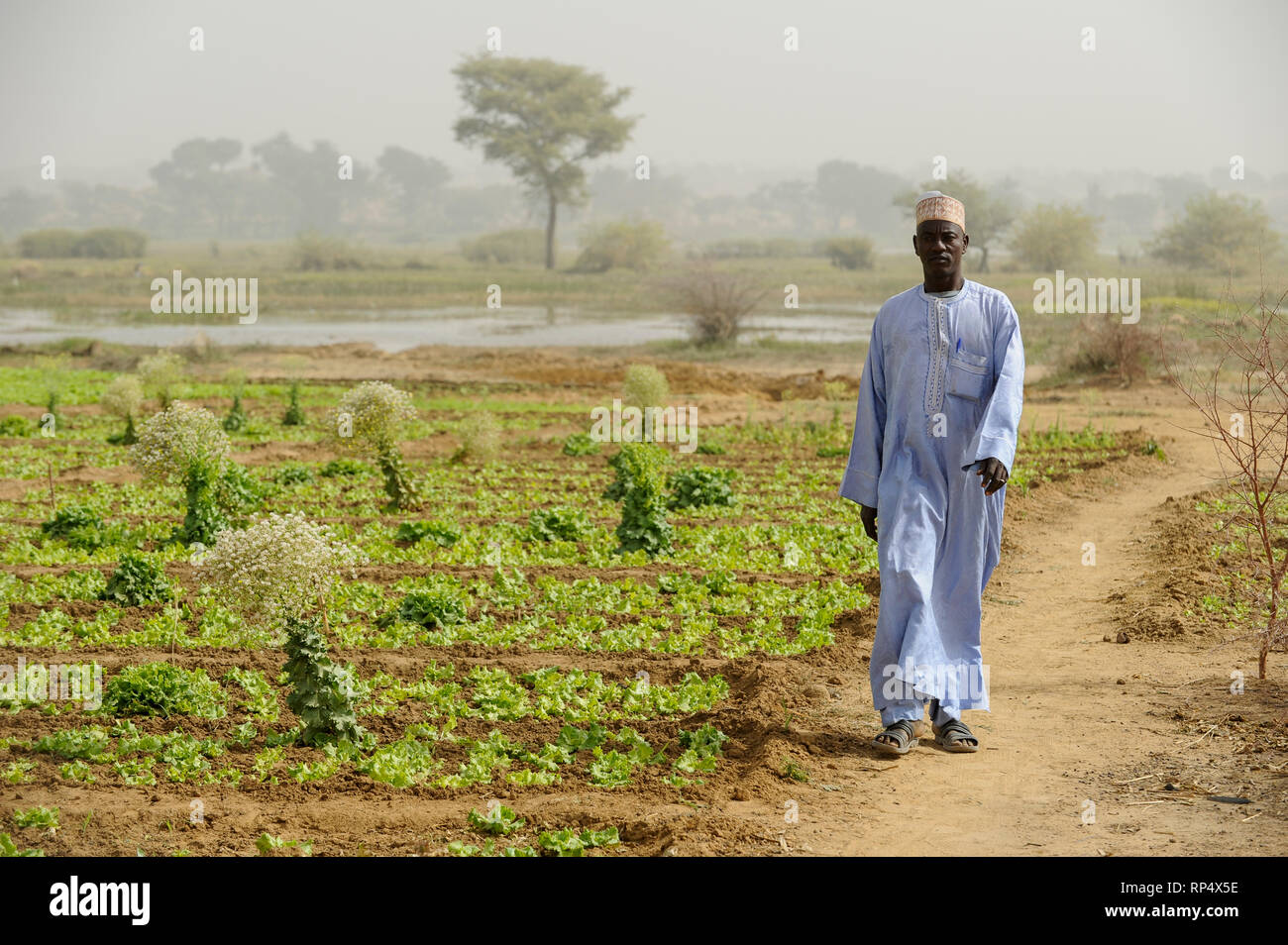 Niger drought farming hi-res stock photography and images - Alamy