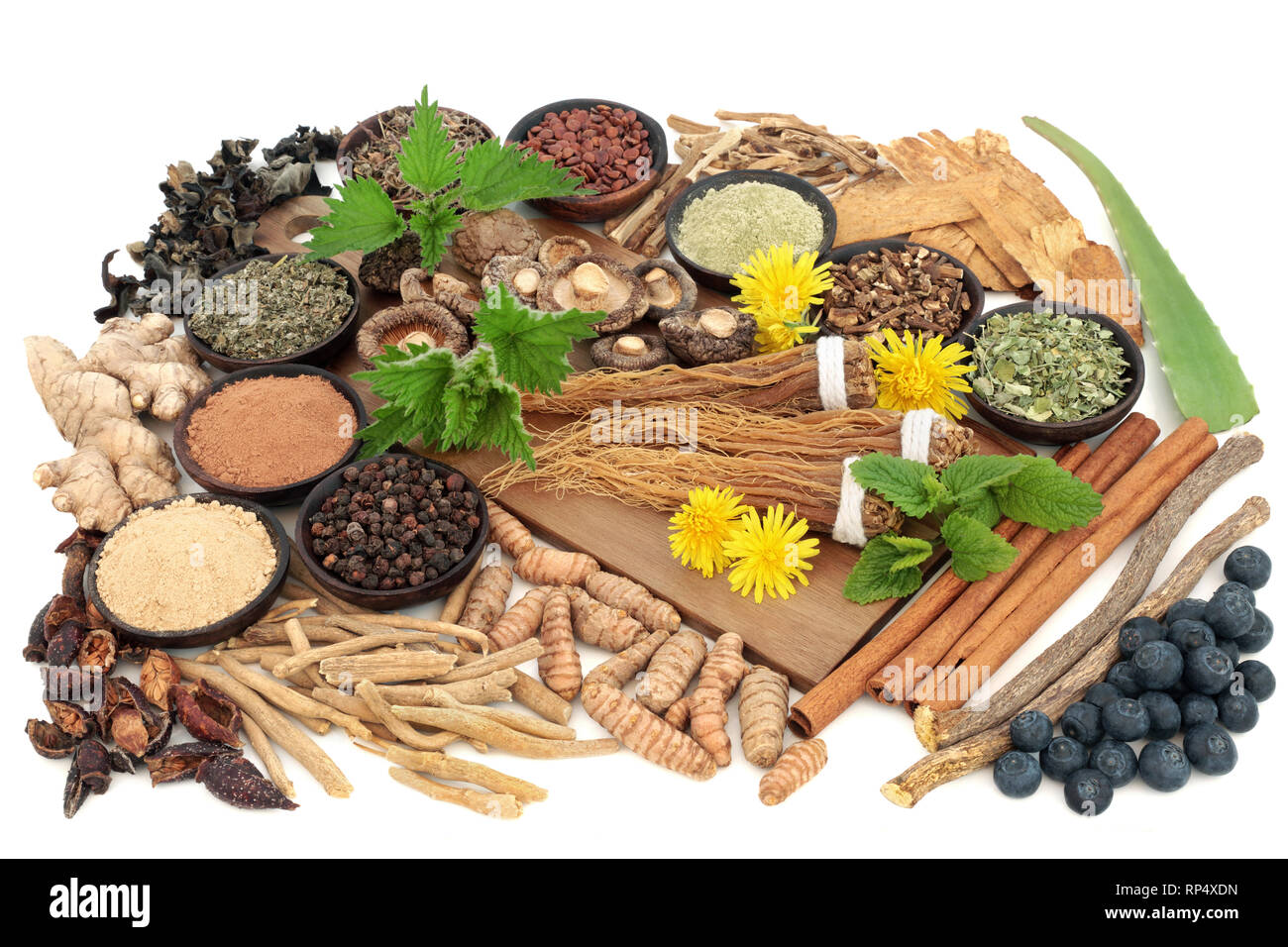 Adaptogen food selection with herbs, spices and supplement powders ...