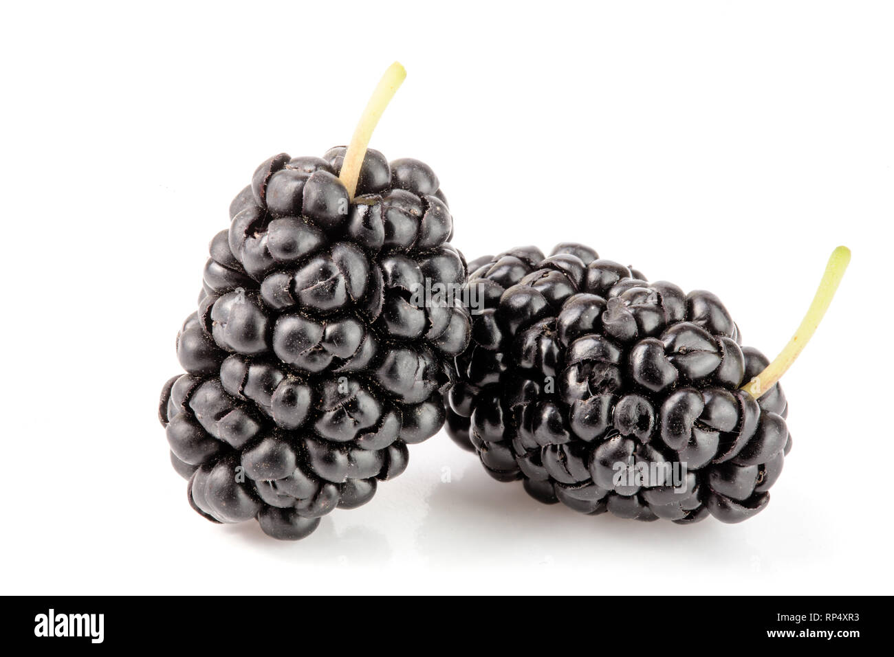 Mulberry berry isolated on white background macro Stock Photo - Alamy
