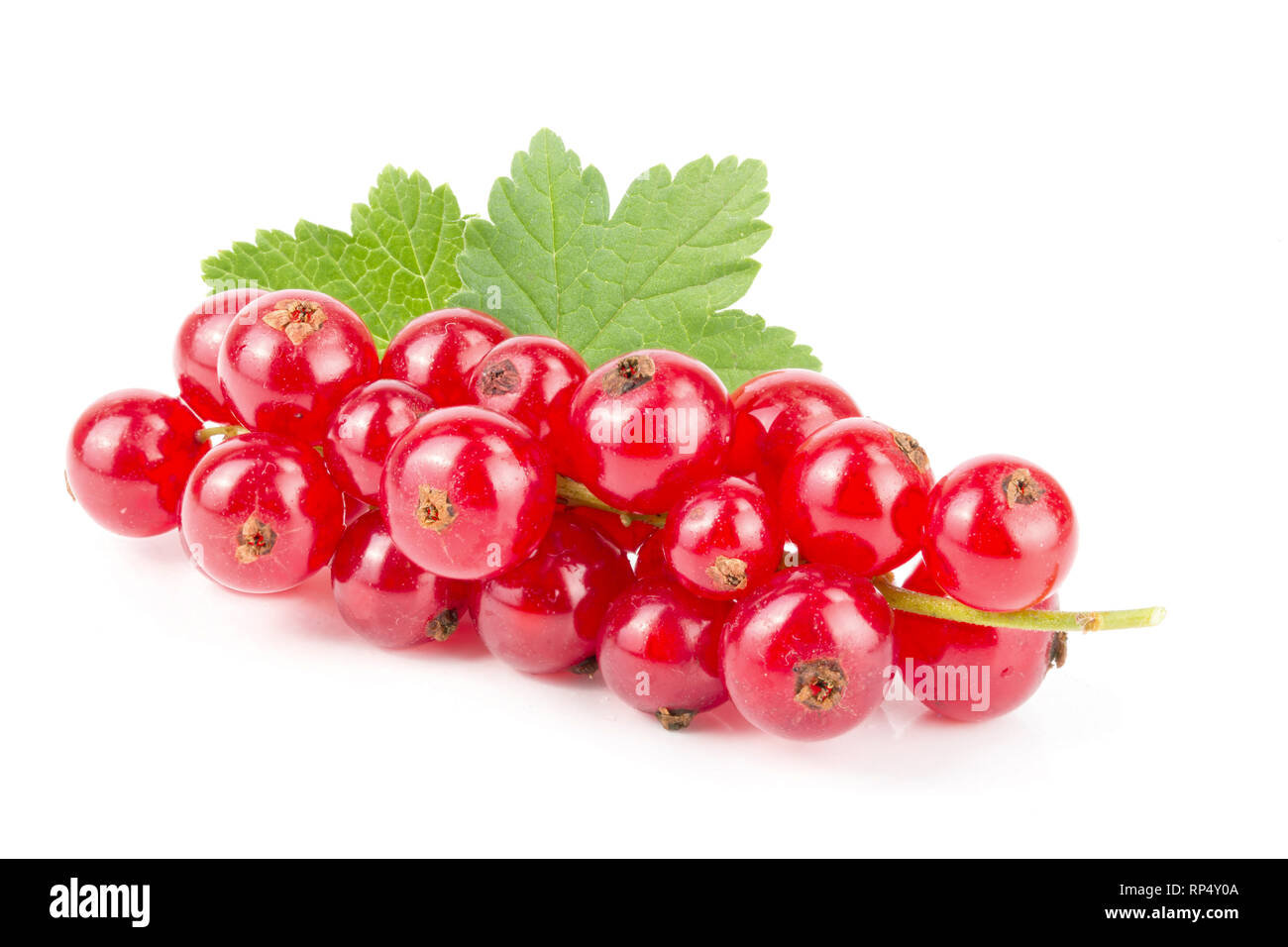 Red currant berries with leaf isolated on white background Stock Photo ...