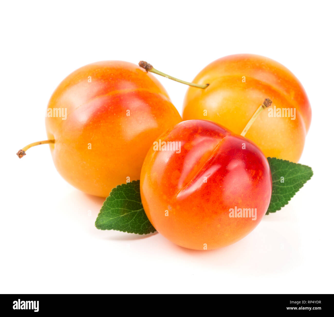 One yellow plum isolated on white background Stock Photo - Alamy