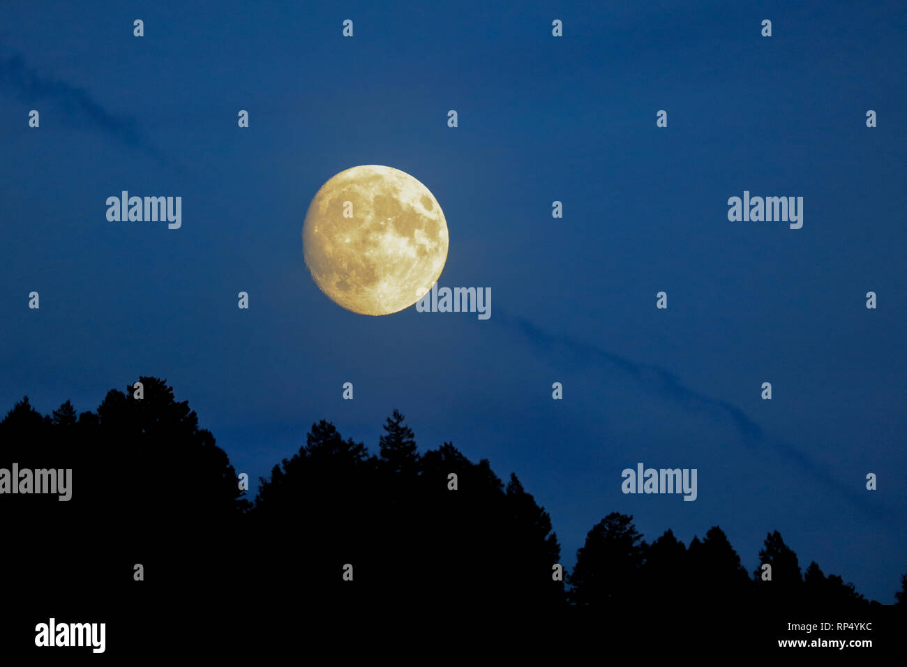 Full moon yellowstone national park hi-res stock photography and images ...
