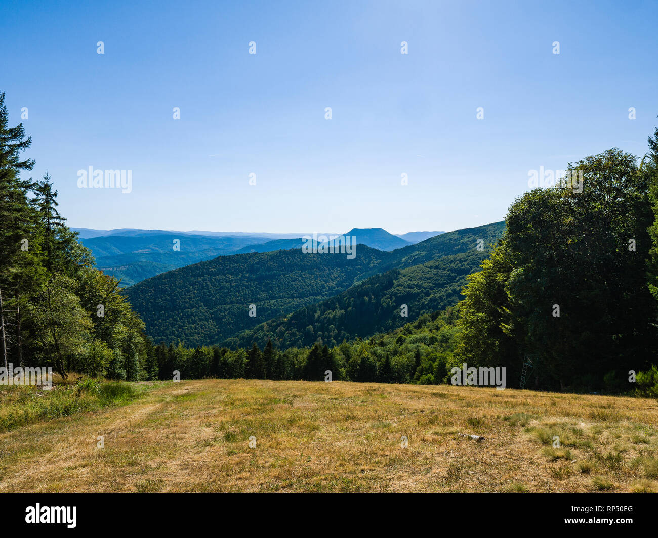 Beautiful landscape view over the mountains and forests in Alsace ...