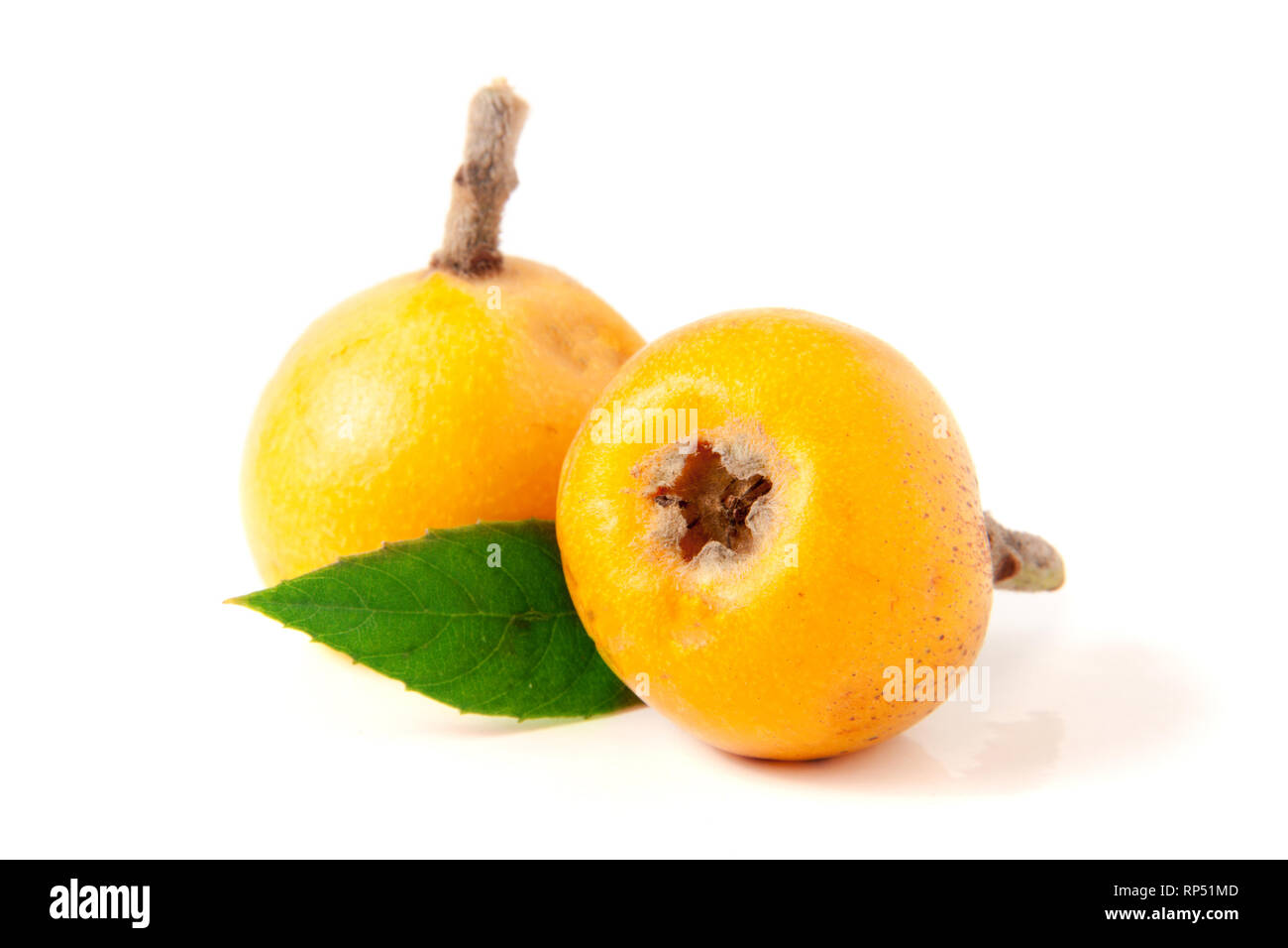 Ripe loquat or Eriobotrya japonica with leaf isolated on white ...