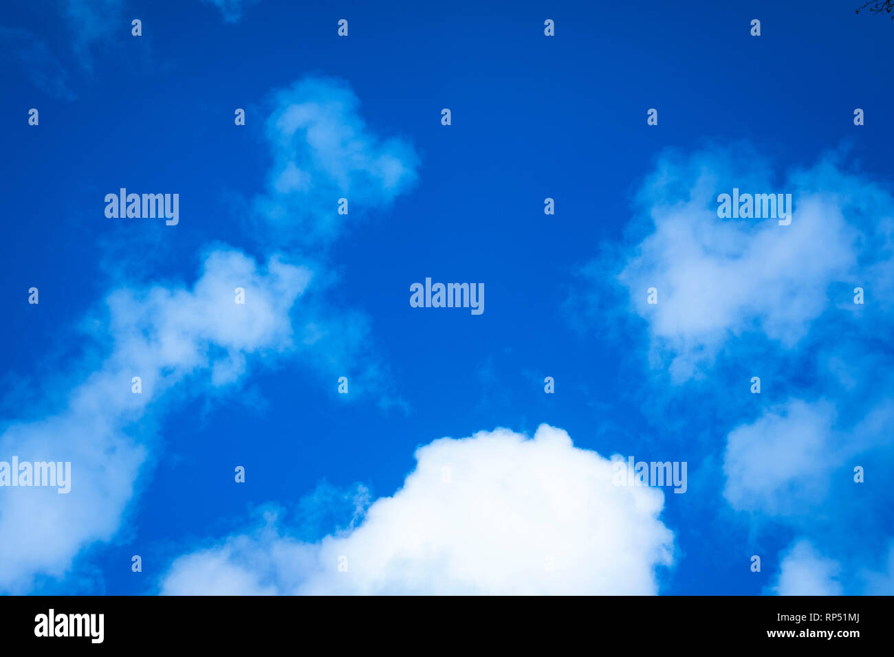 blu cloud sky Stock Photo - Alamy