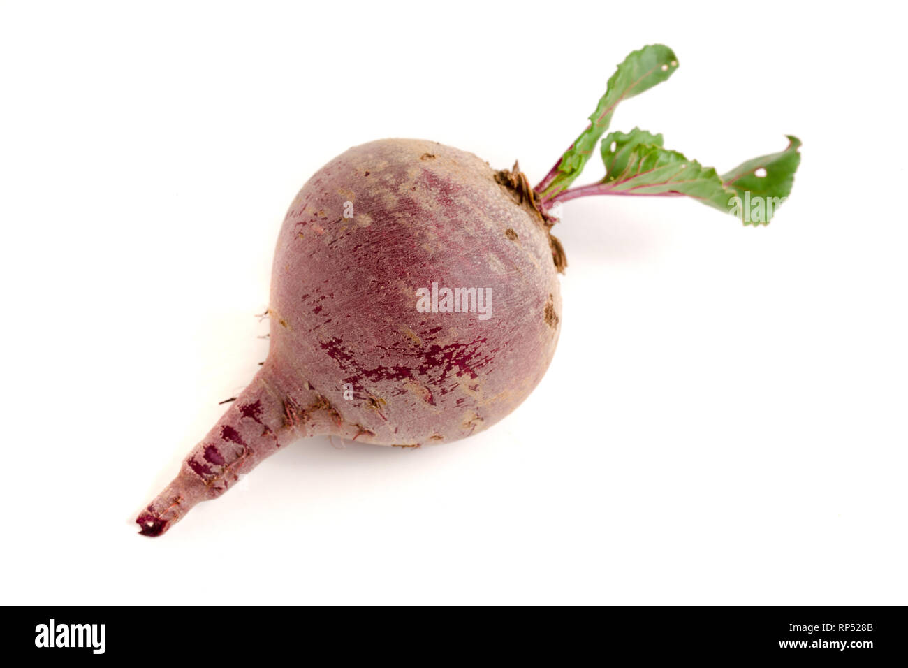 Beetroot with leaf isolated on white background Stock Photo - Alamy