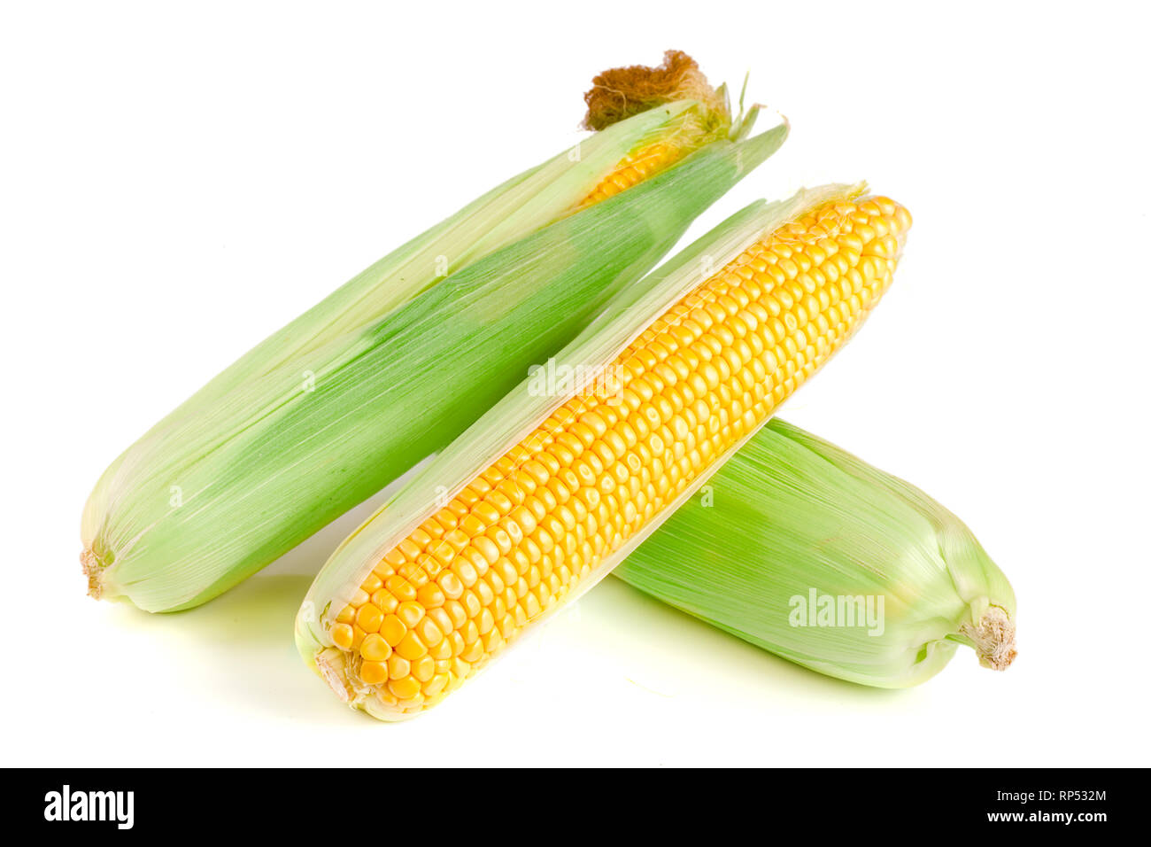 ear of corn isolated on a white background Stock Photo - Alamy