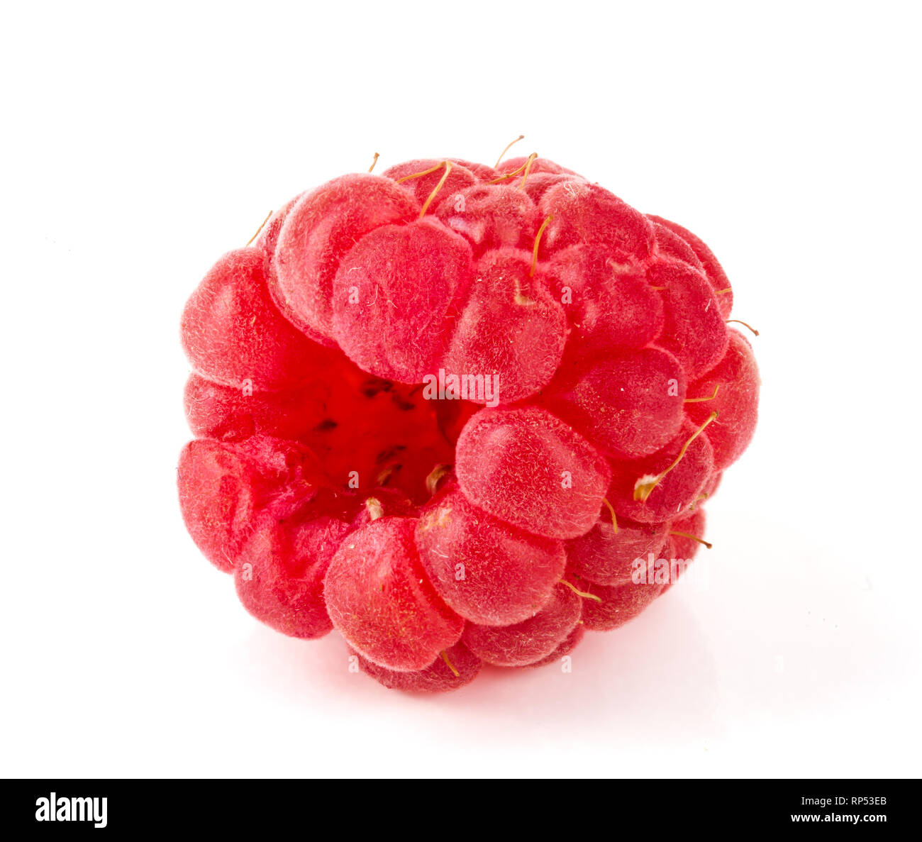 One raspberry isolated on white background macro Stock Photo - Alamy