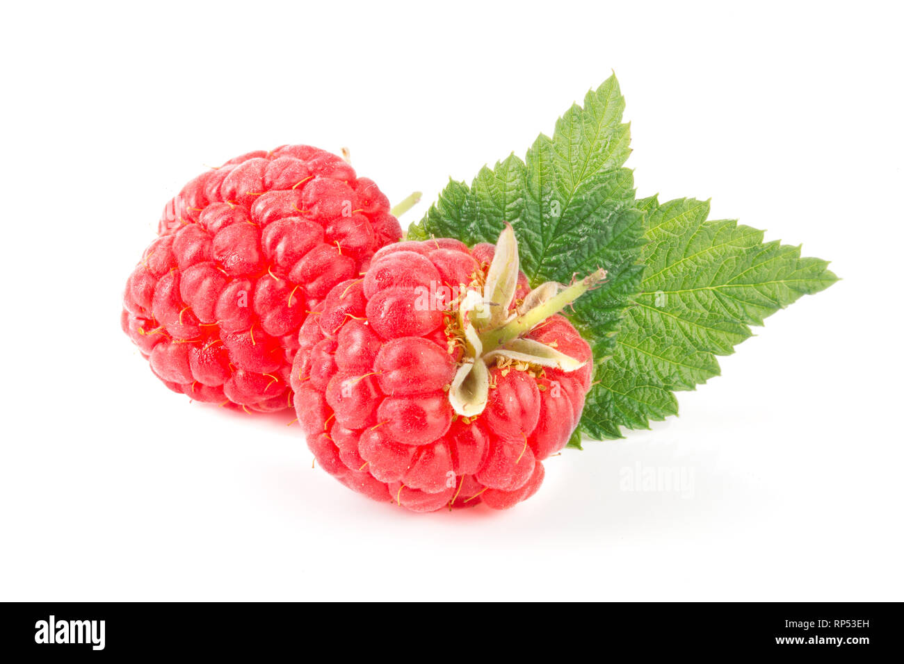 Two raspberries with leaf isolated on white background macro Stock ...