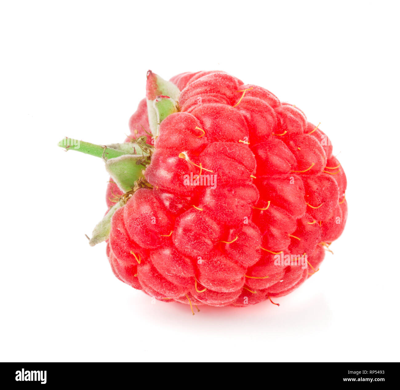 One raspberry isolated on white background macro Stock Photo - Alamy
