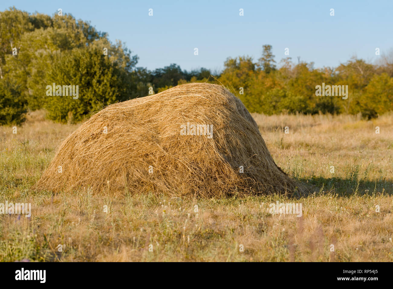 Stack photo hi-res stock photography and images - Alamy