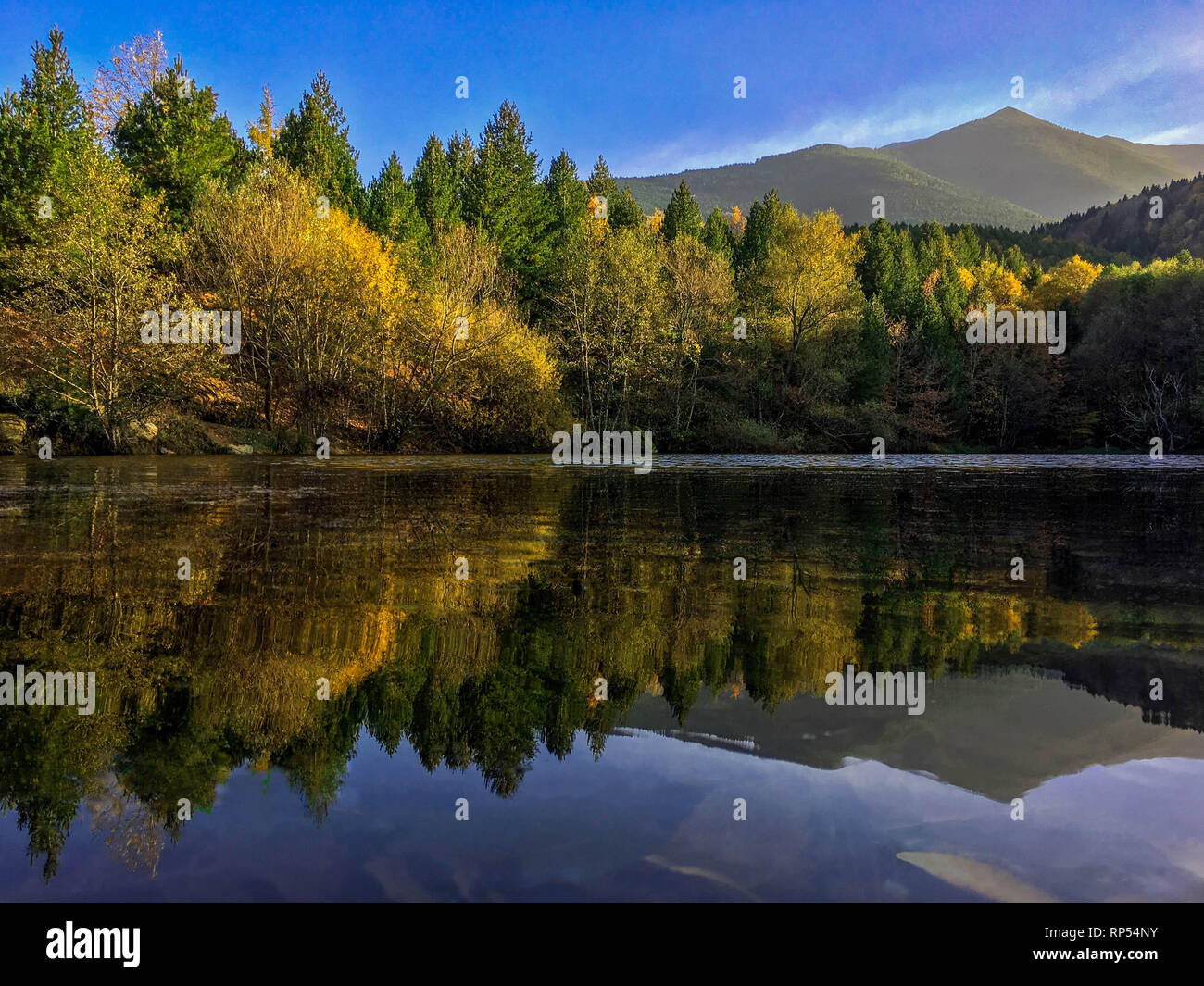 Lake in forest Stock Photo - Alamy