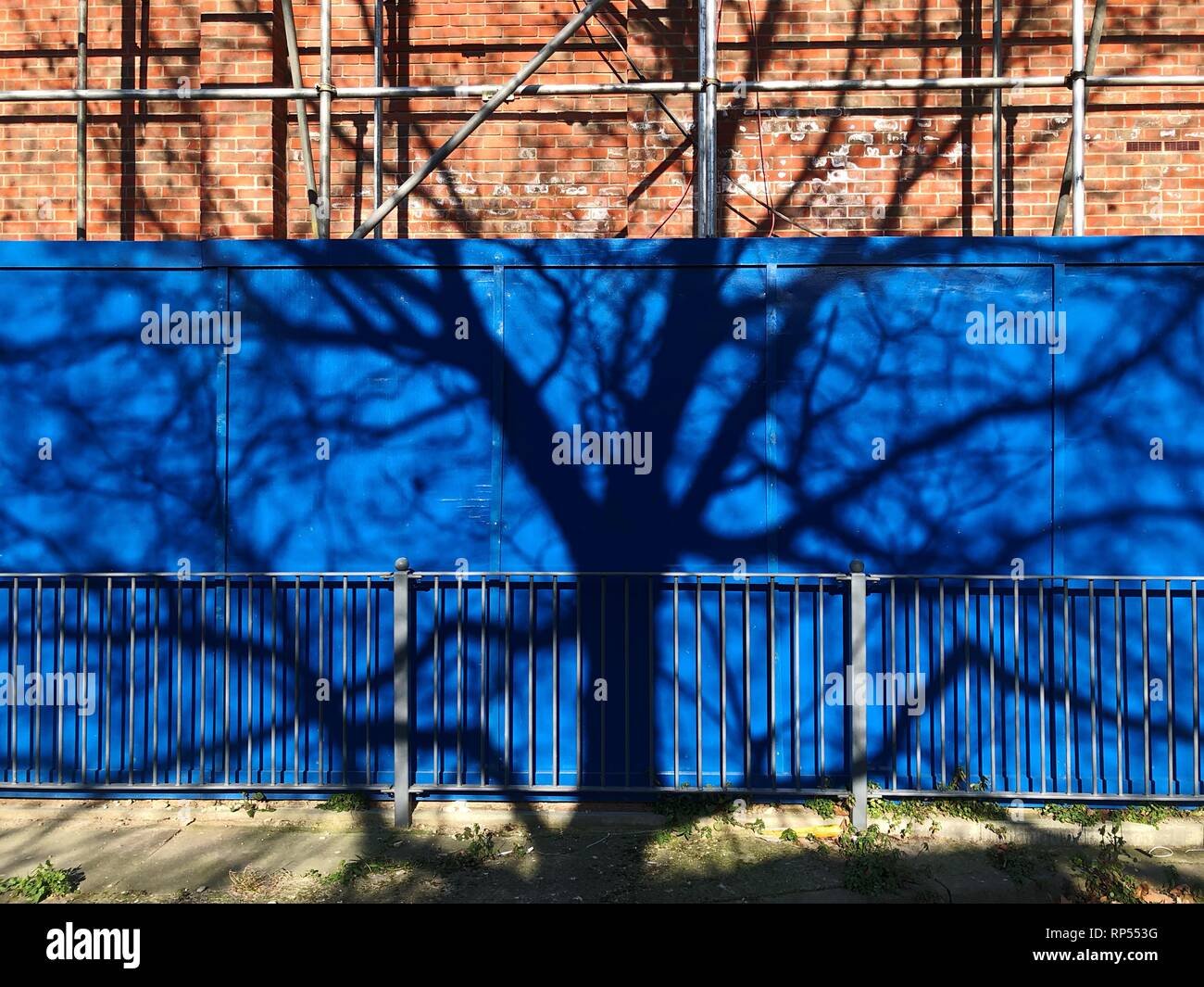 tree shade and construction Stock Photo - Alamy