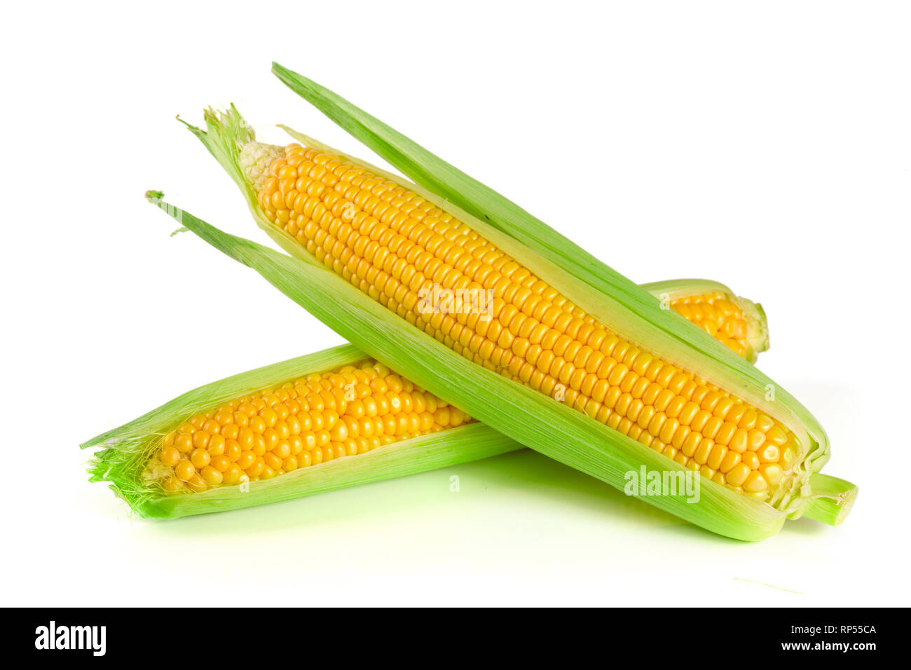 ear of corn isolated on a white background Stock Photo - Alamy