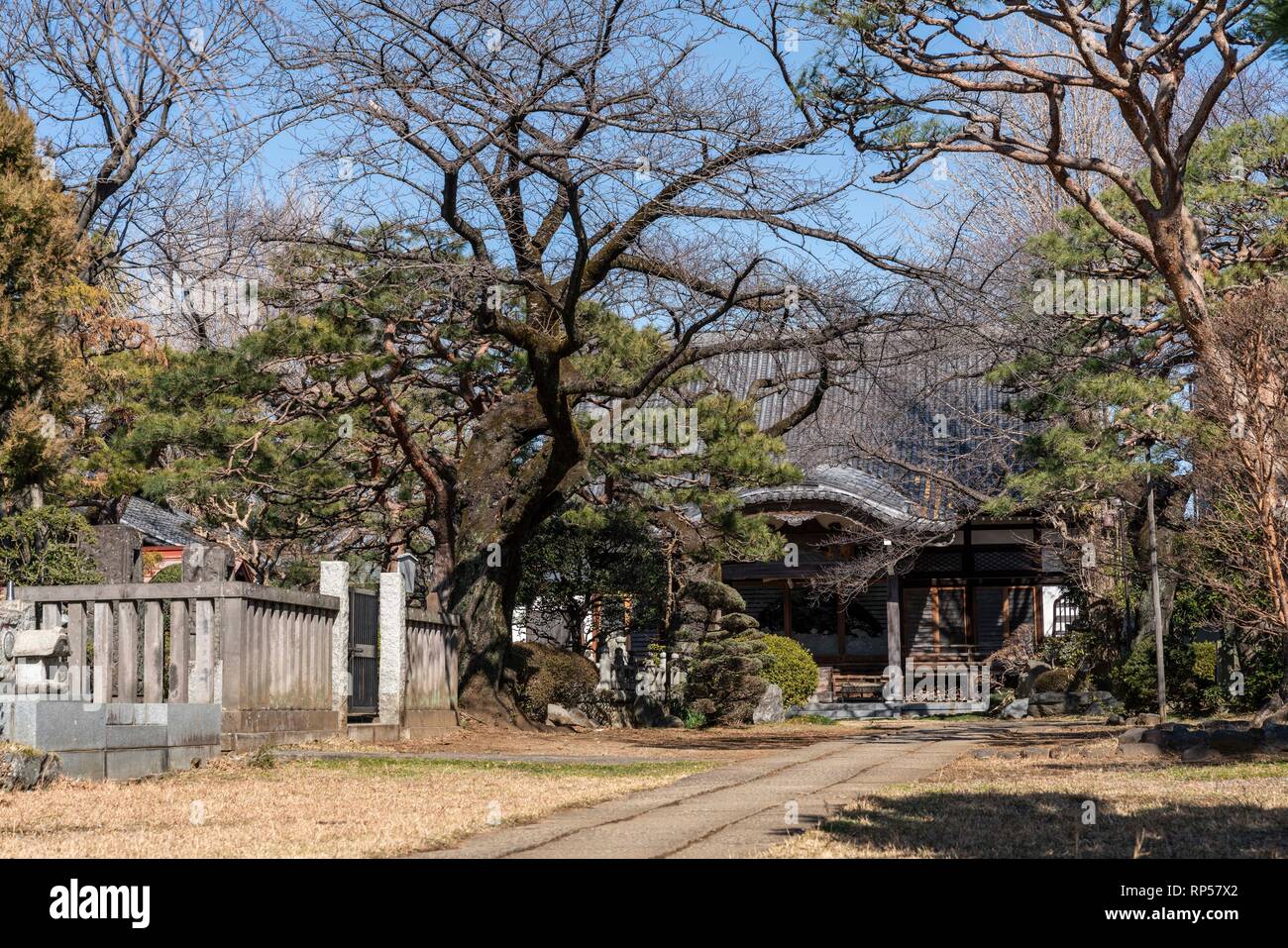 Rengeji Temple, Nakano-Ku, Tokyo Japan Stock Photo - Alamy