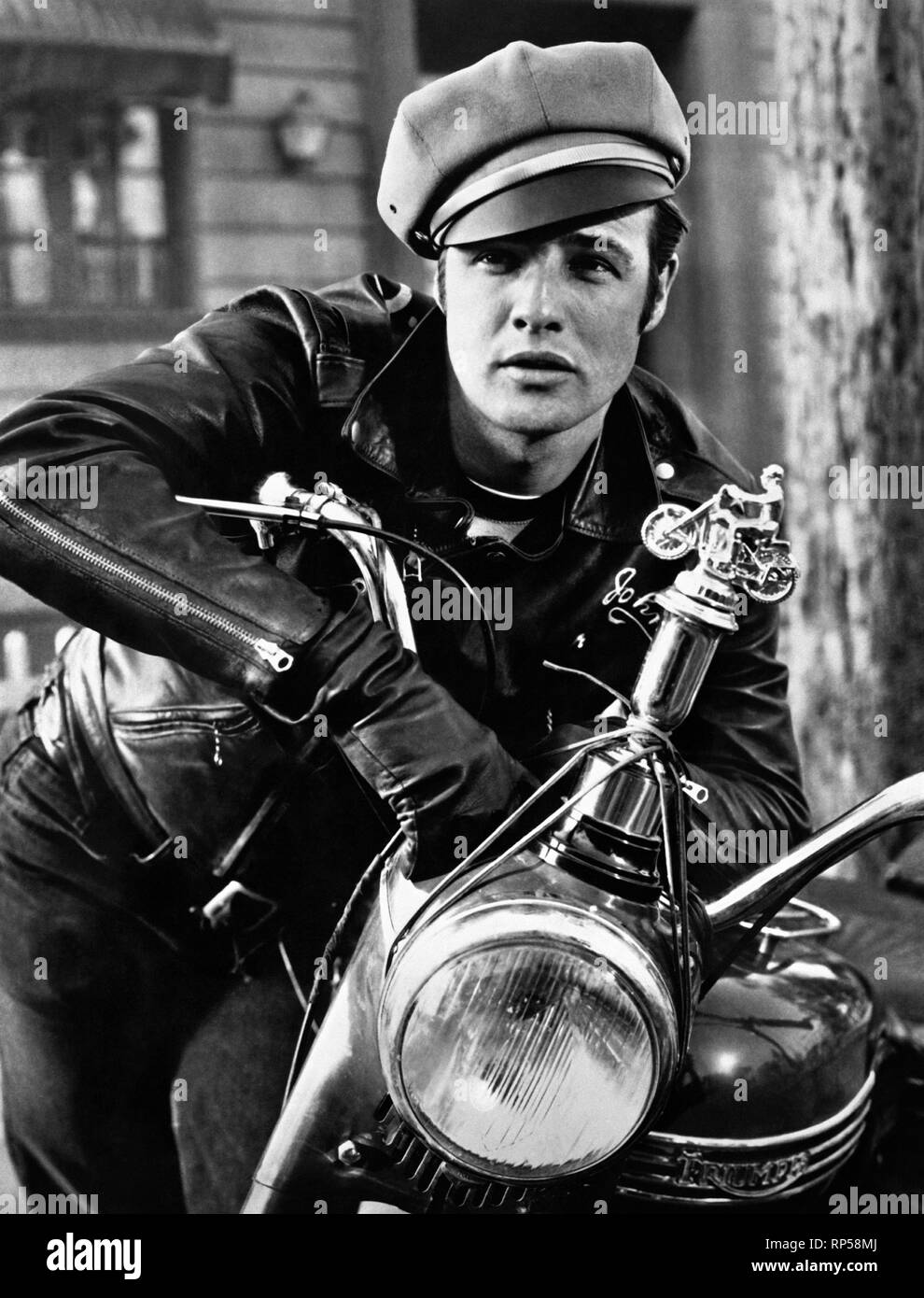 Marlon Brando Wild One High Resolution Stock Photography and Images - Alamy