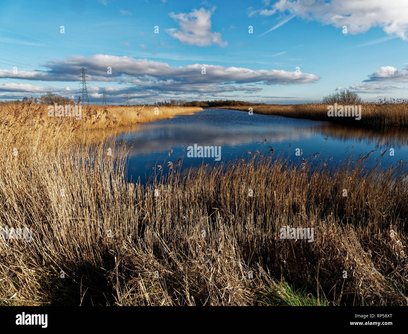 Ponds and wetlands hi-res stock photography and images - Alamy