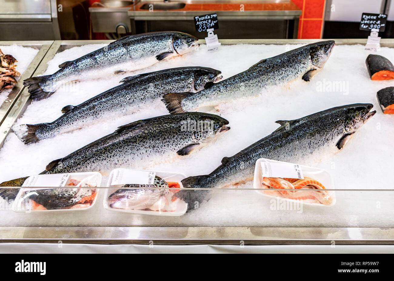 Samara, Russia - May 09, 2017: Salmon fish are frozen with ice for sale ...