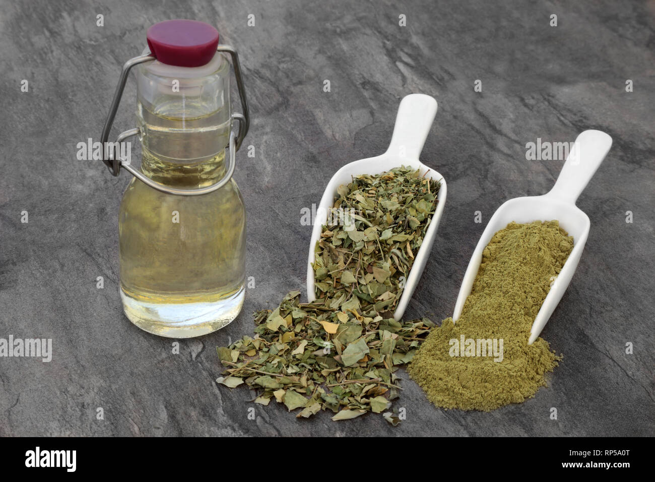 Moringa oliefera herb leaf, oil and powder Used to treat the immune ...