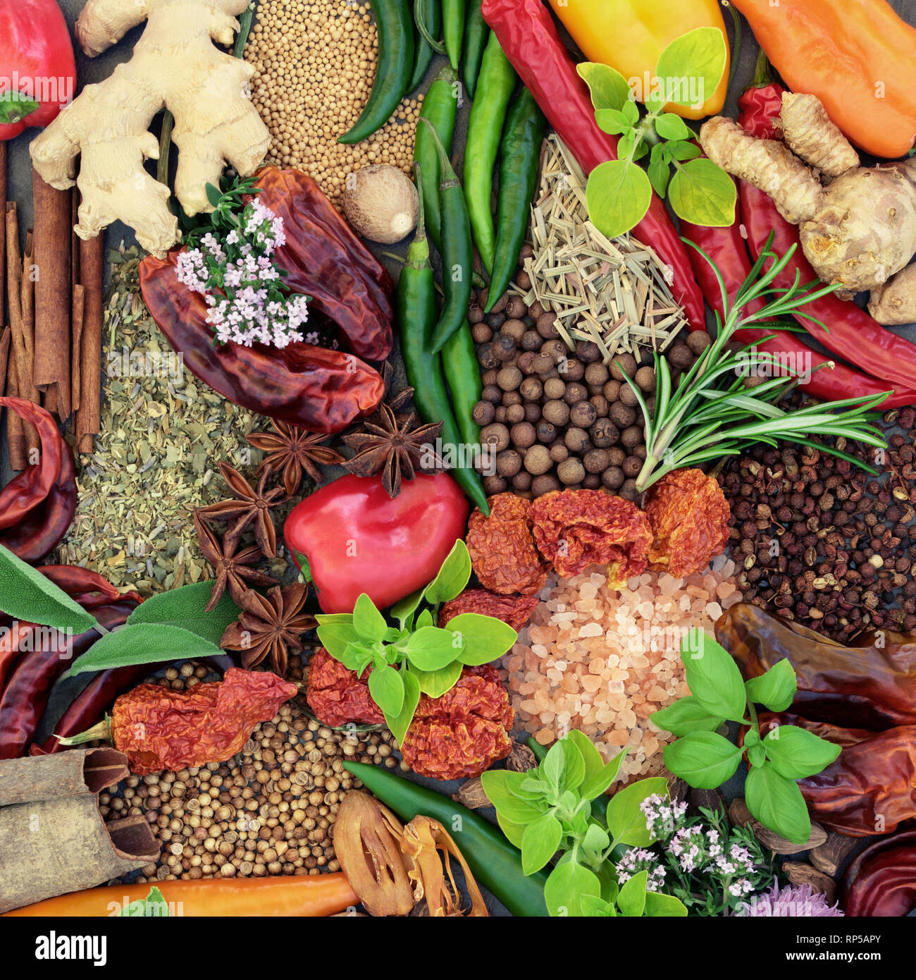 Spices and herbs food seasoning selection forming a background. Top ...