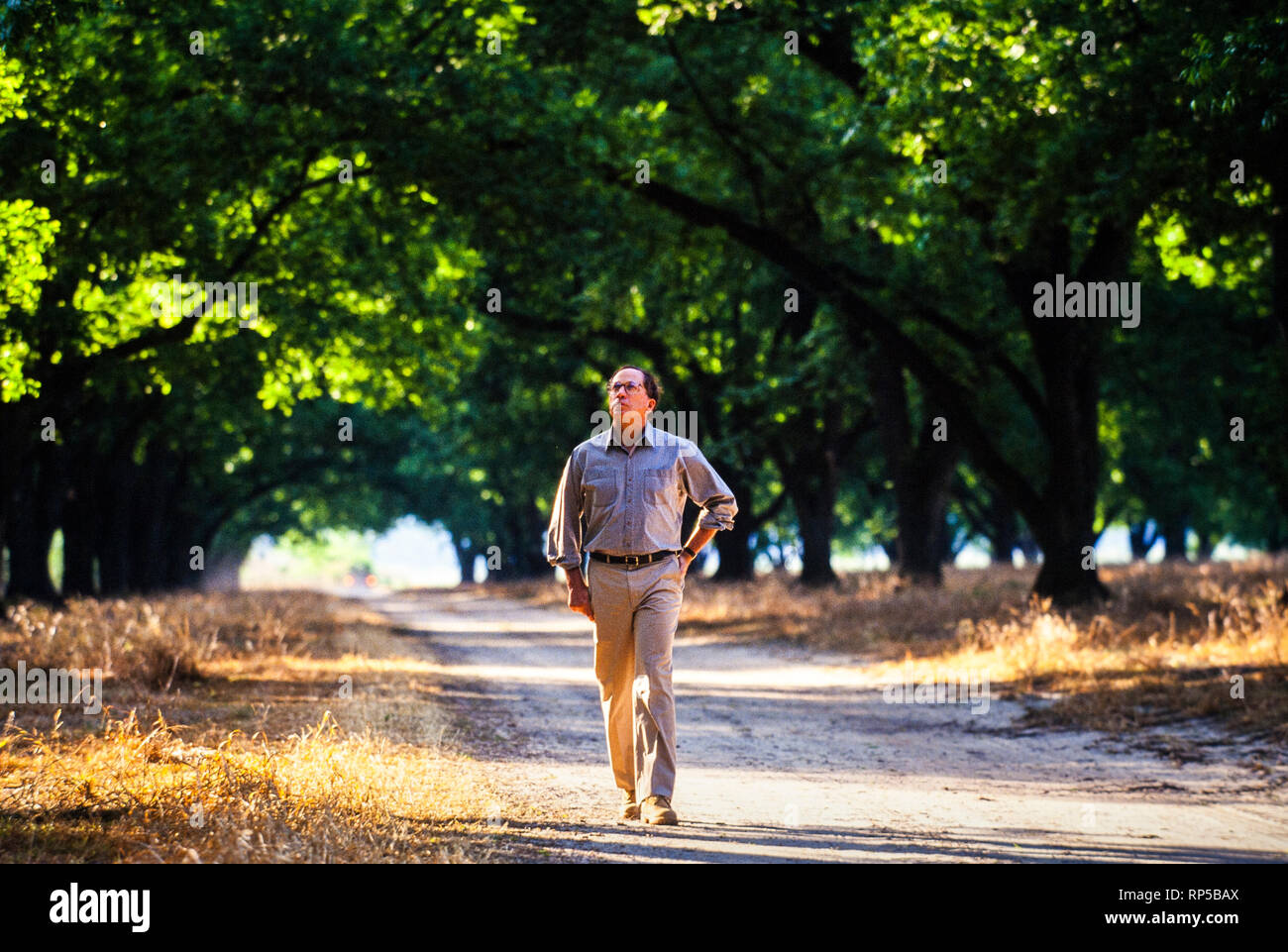 UNITED STATES SENATOR SAM NUNN ON HIS TREE FARM IN PERRY, GEORGIA Stock ...