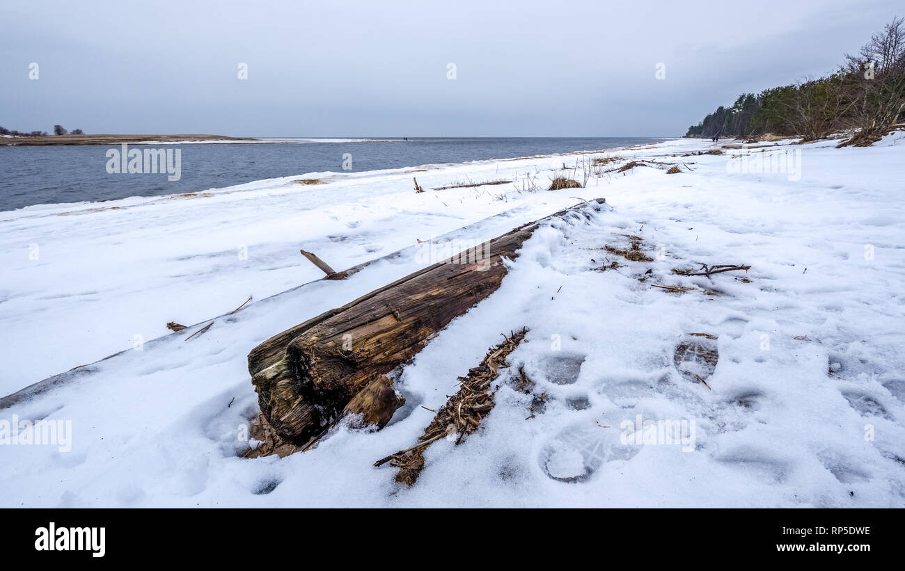 frozen ice blocks on sea beach in winter with sand and snow in overcast ...