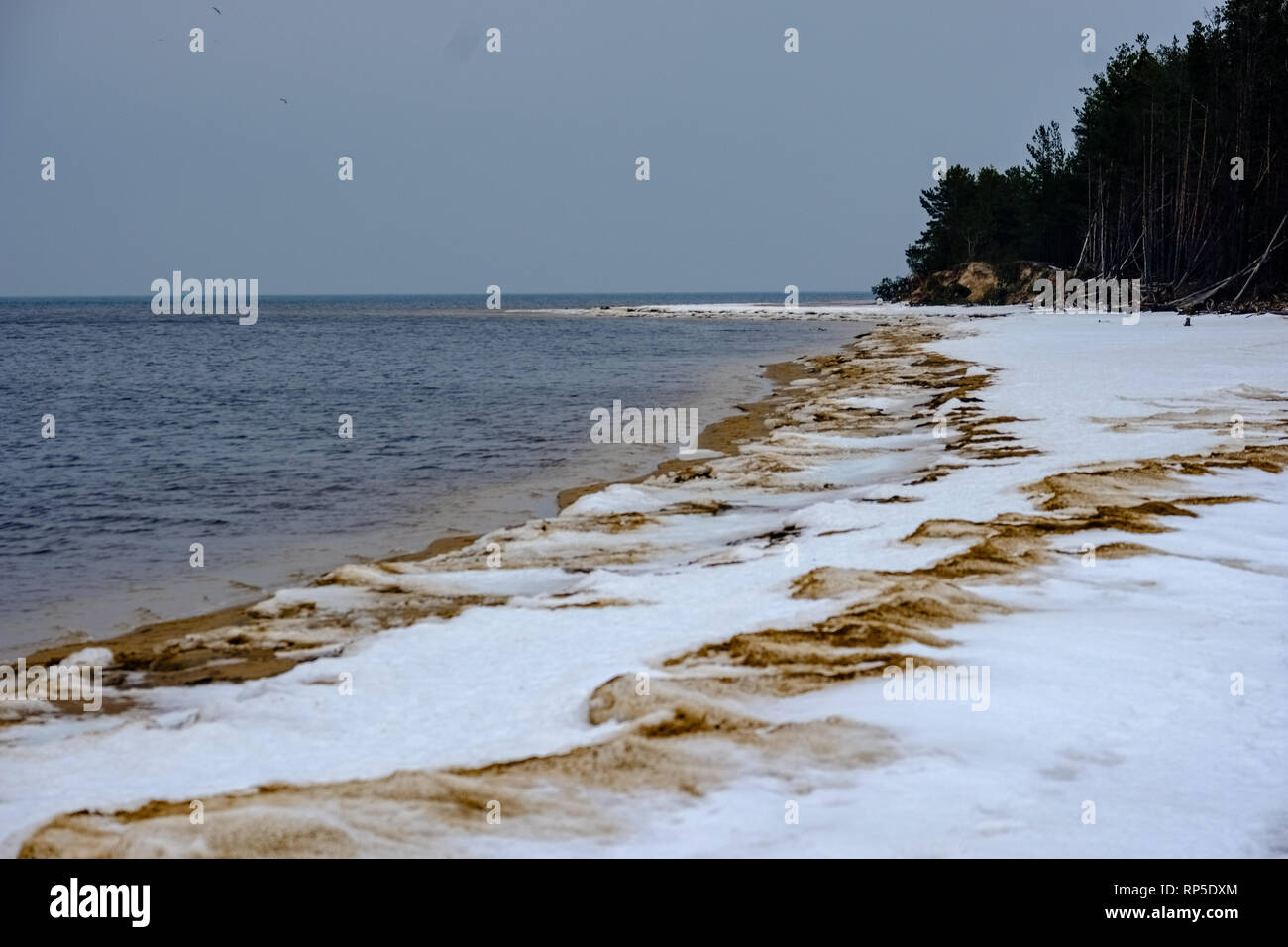 frozen ice blocks on sea beach in winter with sand and snow in overcast ...