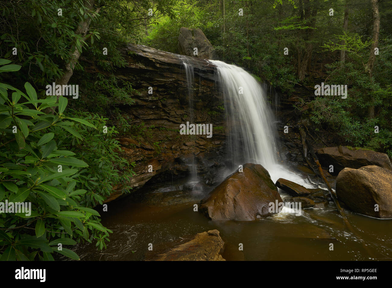 Pendleton Falls in Blackwater Falls State Park, West Virginia Stock ...