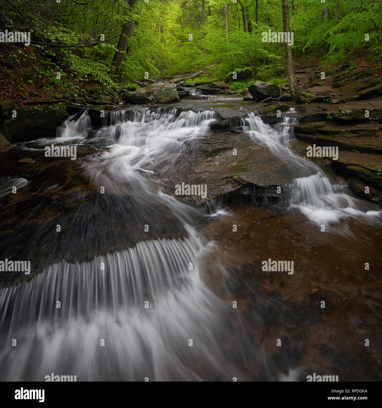 Spring waters flow through Ricketts Glen in Pennsylvania Stock Photo ...
