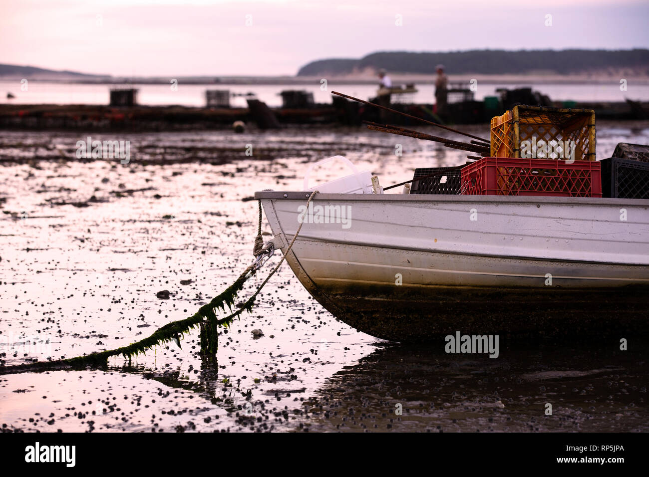 Boat in Wellfleet Harbor with oystermen in the background on Cape Cod ...