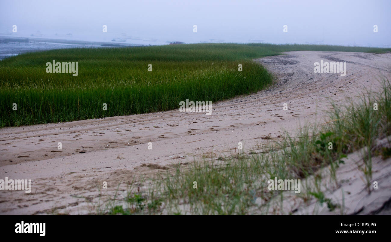 Cape cod sea grass hi-res stock photography and images - Alamy