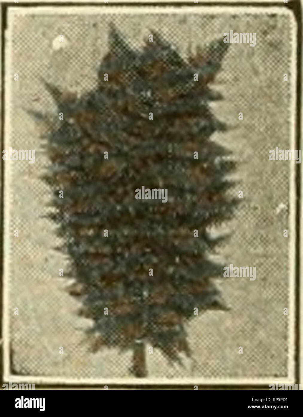 1000 Lb Bales High Resolution Stock Photography and Images - Alamy