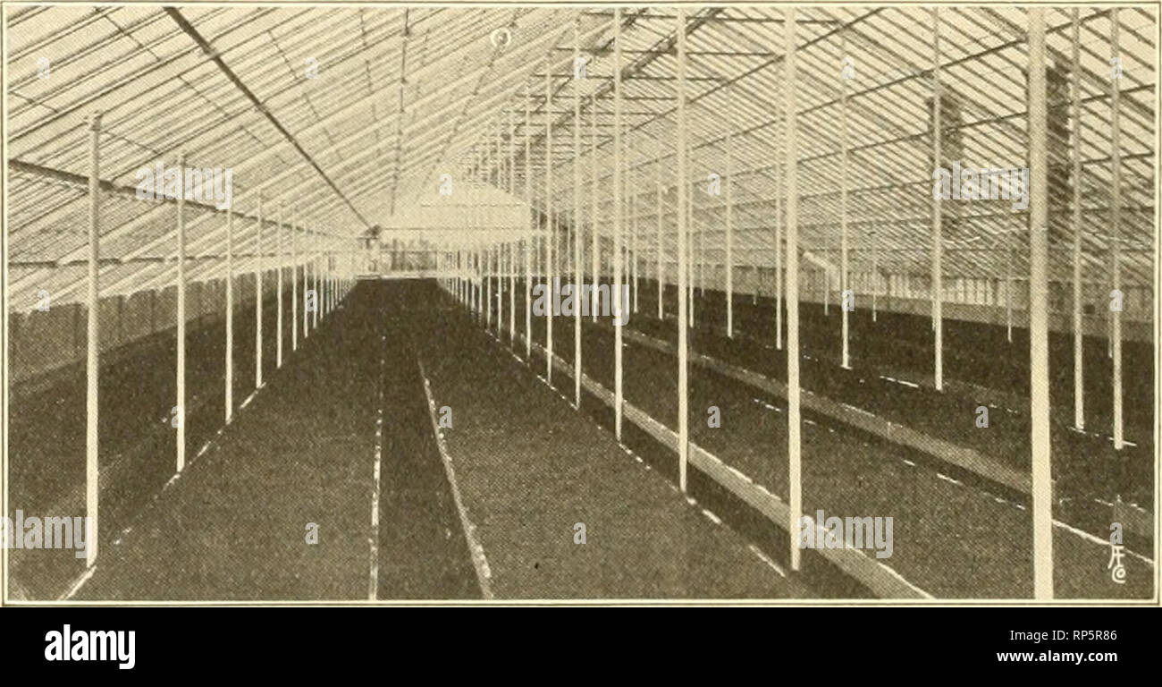 . The American florist : a weekly journal for the trade. Floriculture ...