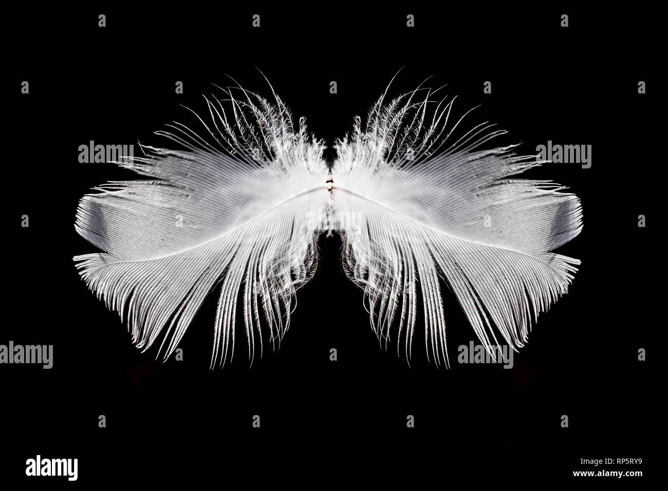 Feathers floating air hi-res stock photography and images - Alamy