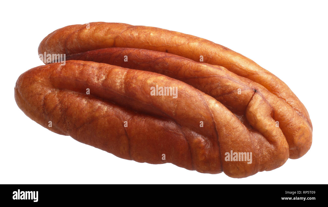 Pecan nut shelled kernel half (Carya illinoinensis seed Stock Photo - Alamy