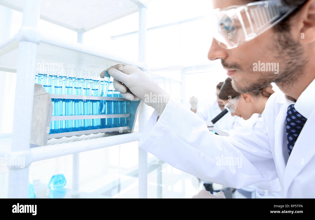 side view of focused scientist holding test tube in laboratory Stock ...