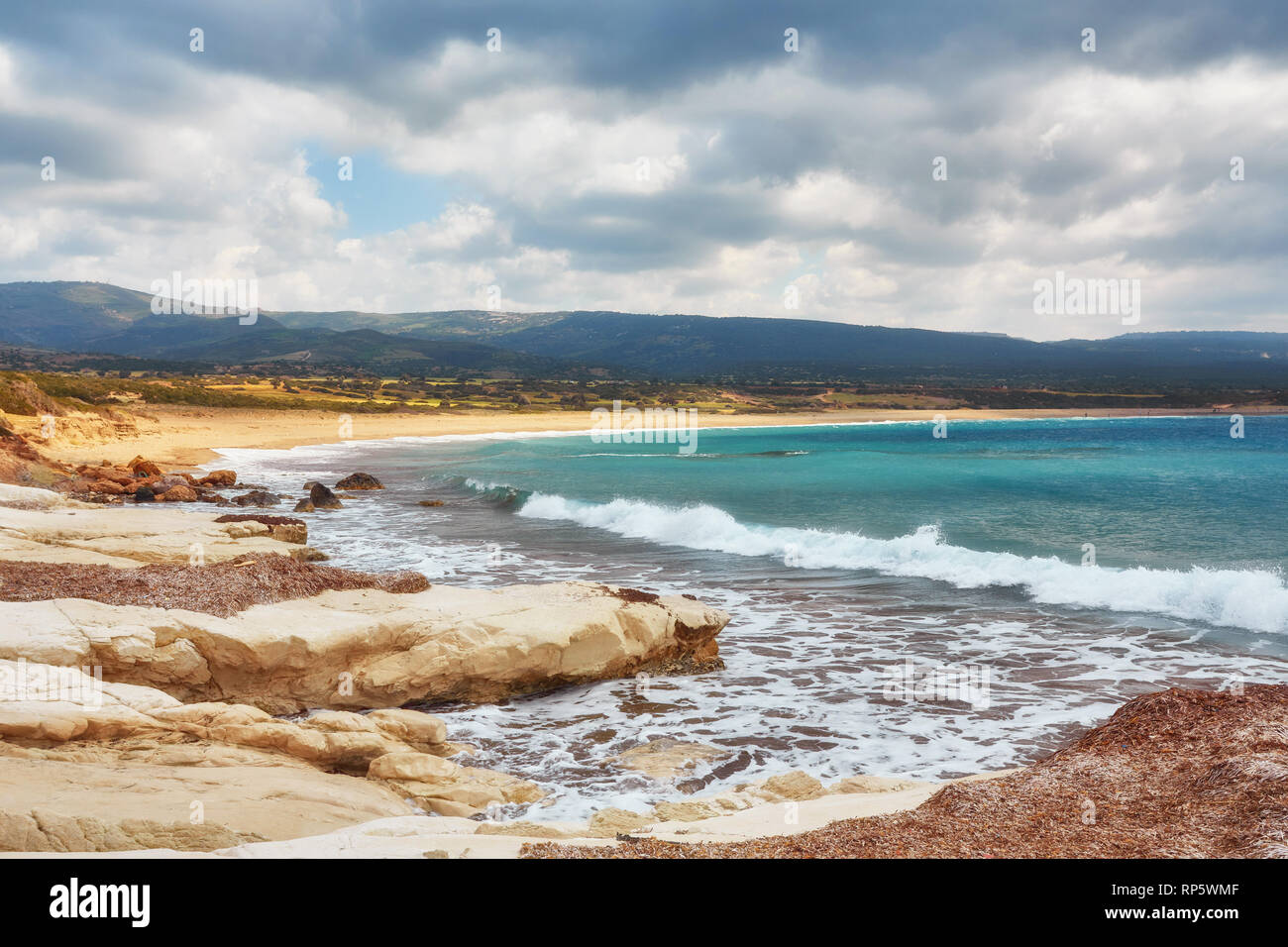 Lara bay turtles hi-res stock photography and images - Alamy