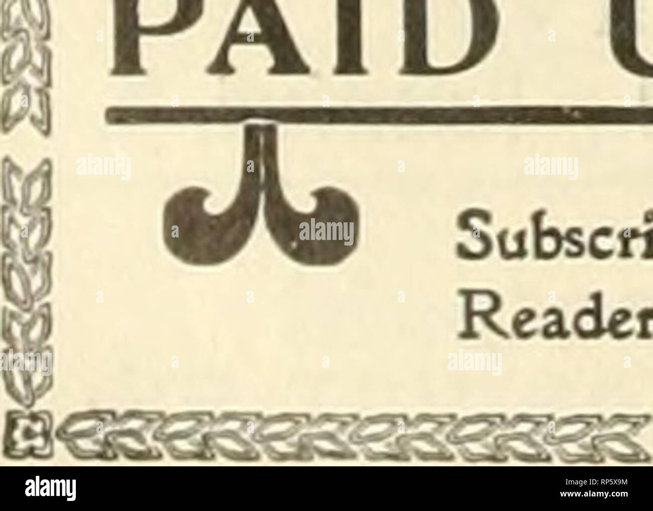 Asparagus capensis hi-res stock photography and images - Alamy