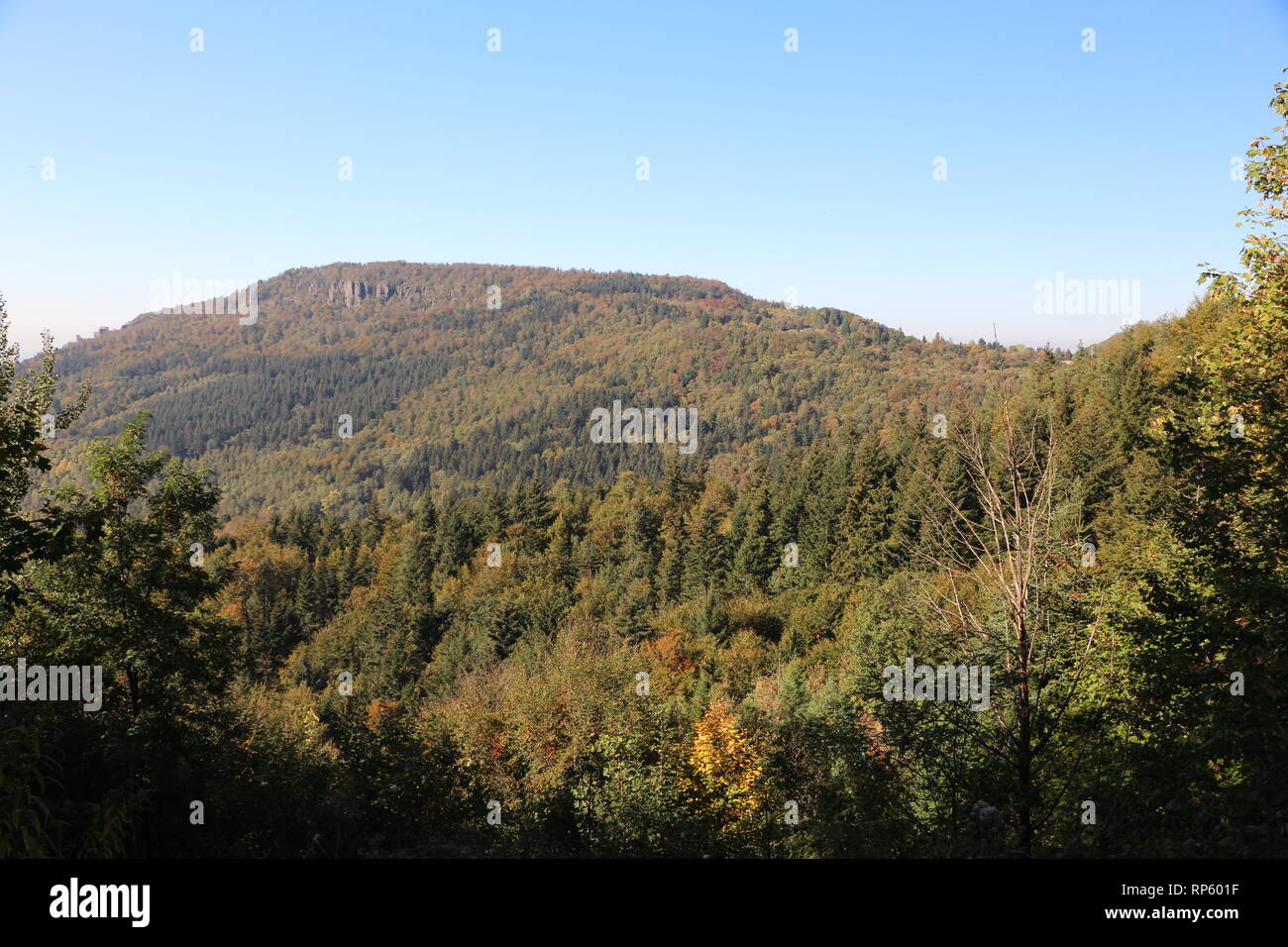 Black forest scenic hi-res stock photography and images - Alamy